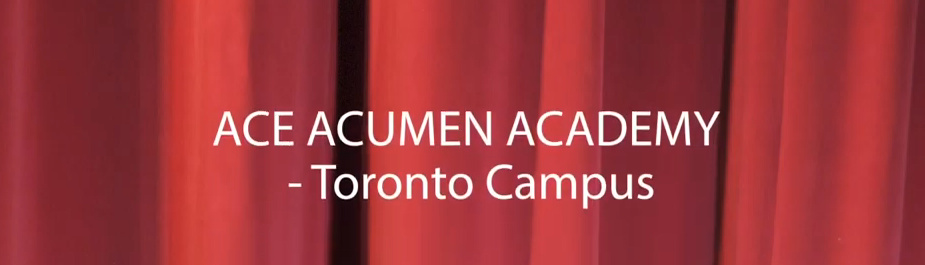 Ace Acumen Academy