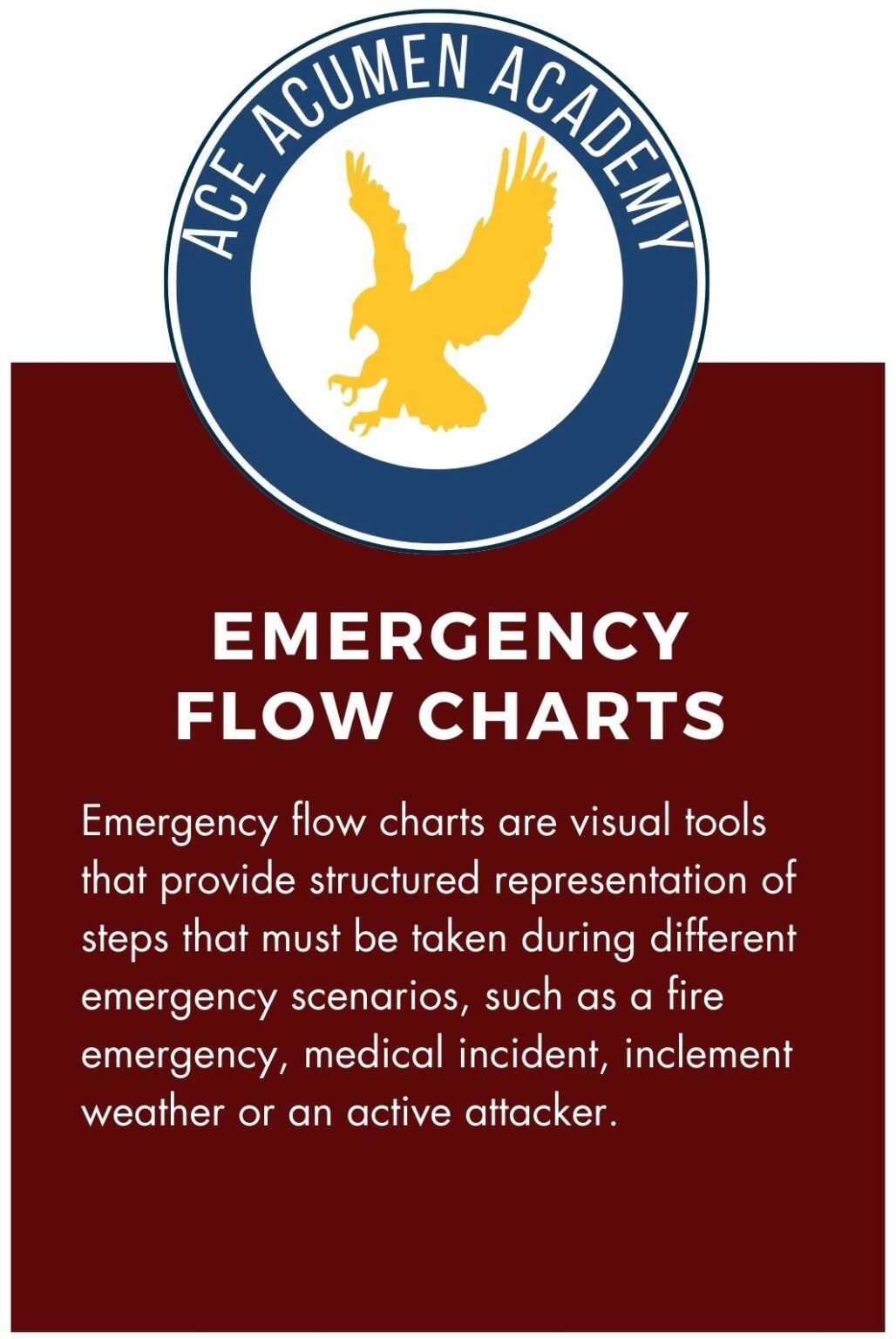 Health & Safety – Ace Acumen Academy